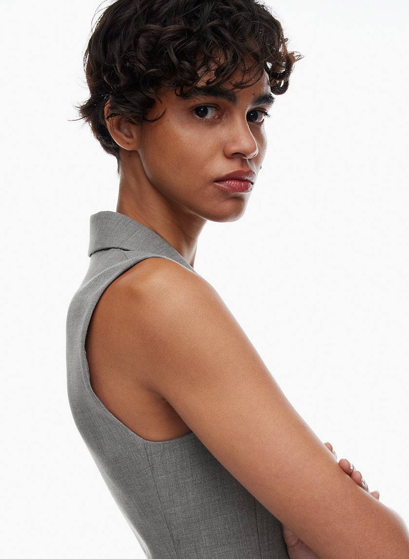 Babaton MASTERMIND DRESS | Aritzia US