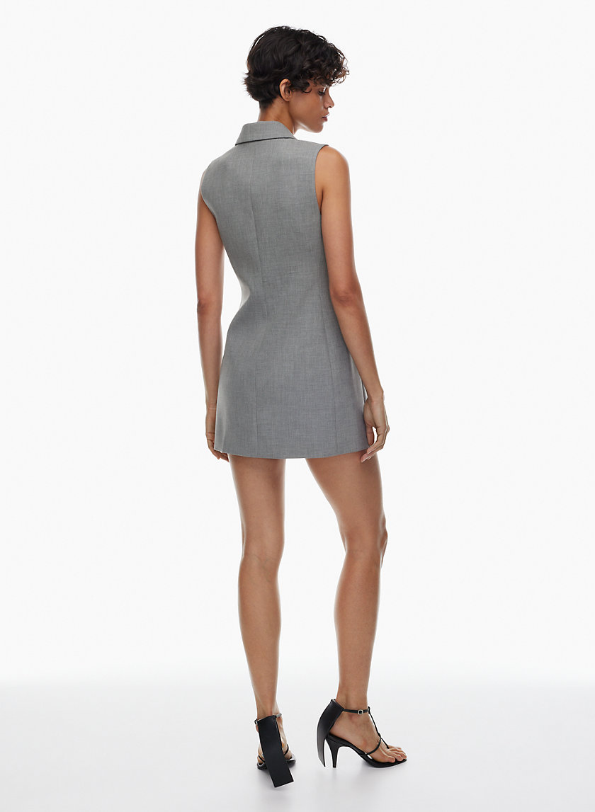 Babaton MASTERMIND DRESS | Aritzia US