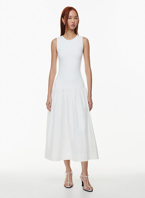 Babaton WORLDLY DRESS | Aritzia US