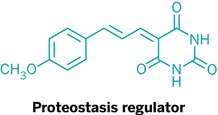 New Drug Leads For Protein Misfolding