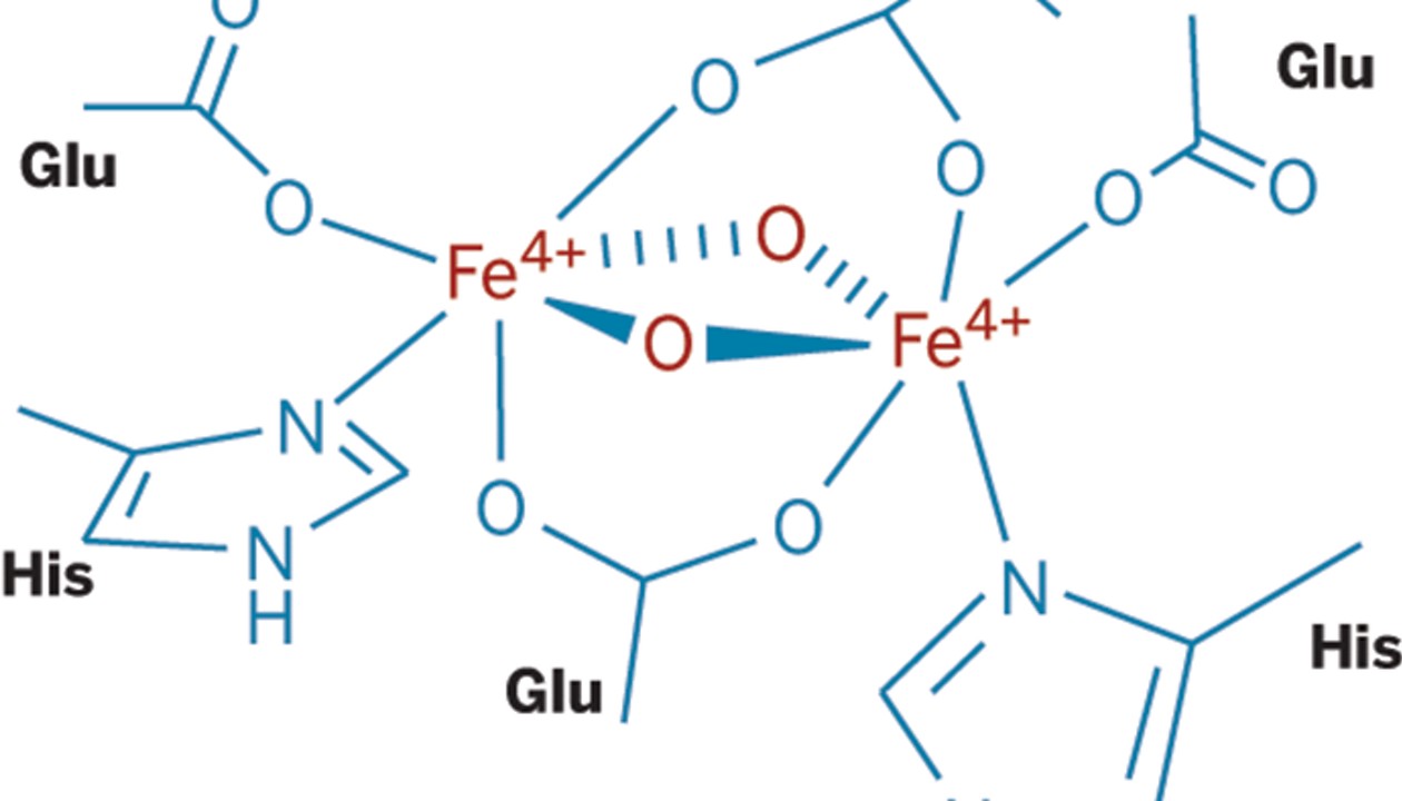 Methane-To-Methanol Converter’s Diamond Core Clarified