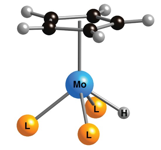 Molybdenum Hydride Complexes Work Magic On Formic Acid