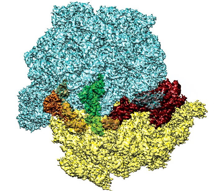 Cryo-electron Microscopy Breaks The Crystal Ceiling