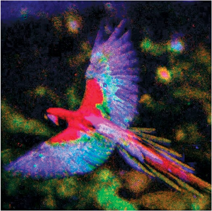 Photolithography-method-creates-complex-patterns