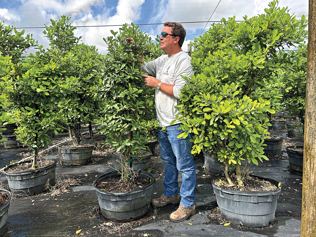To make food palatable, cancer patients try miracle fruit