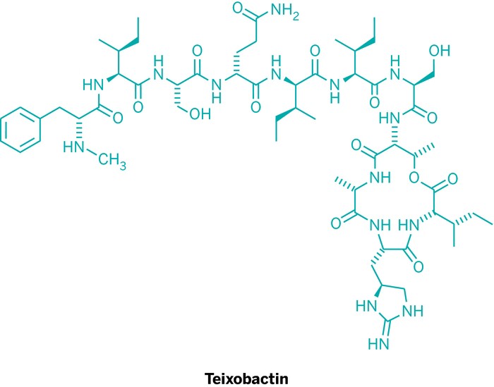 Novel-Bacteria-Fighter-Unearthed