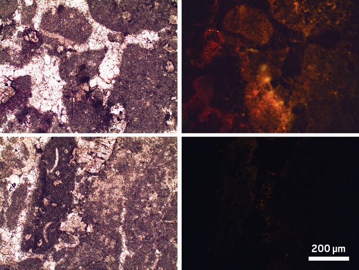 Fluorescent nanoparticles light up rocks’ pores