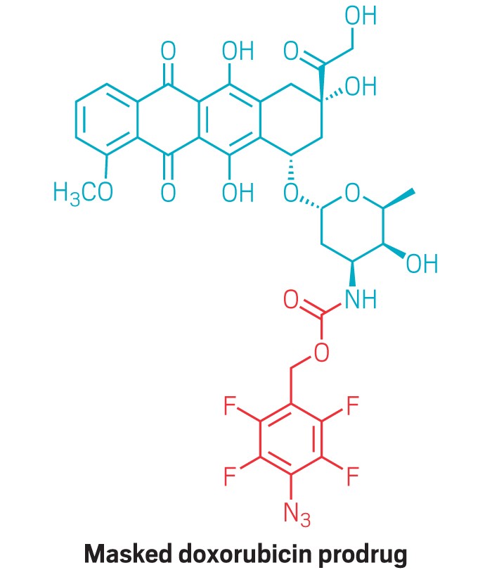X-rays activate cancer drug