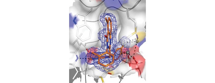 Flexible-Drug-Target-Reveals-Secrets