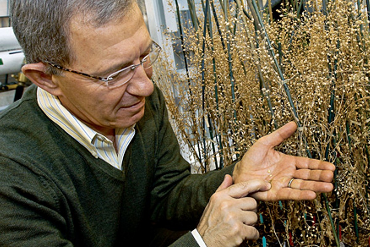 Sowing The Seeds Of Oil Customization