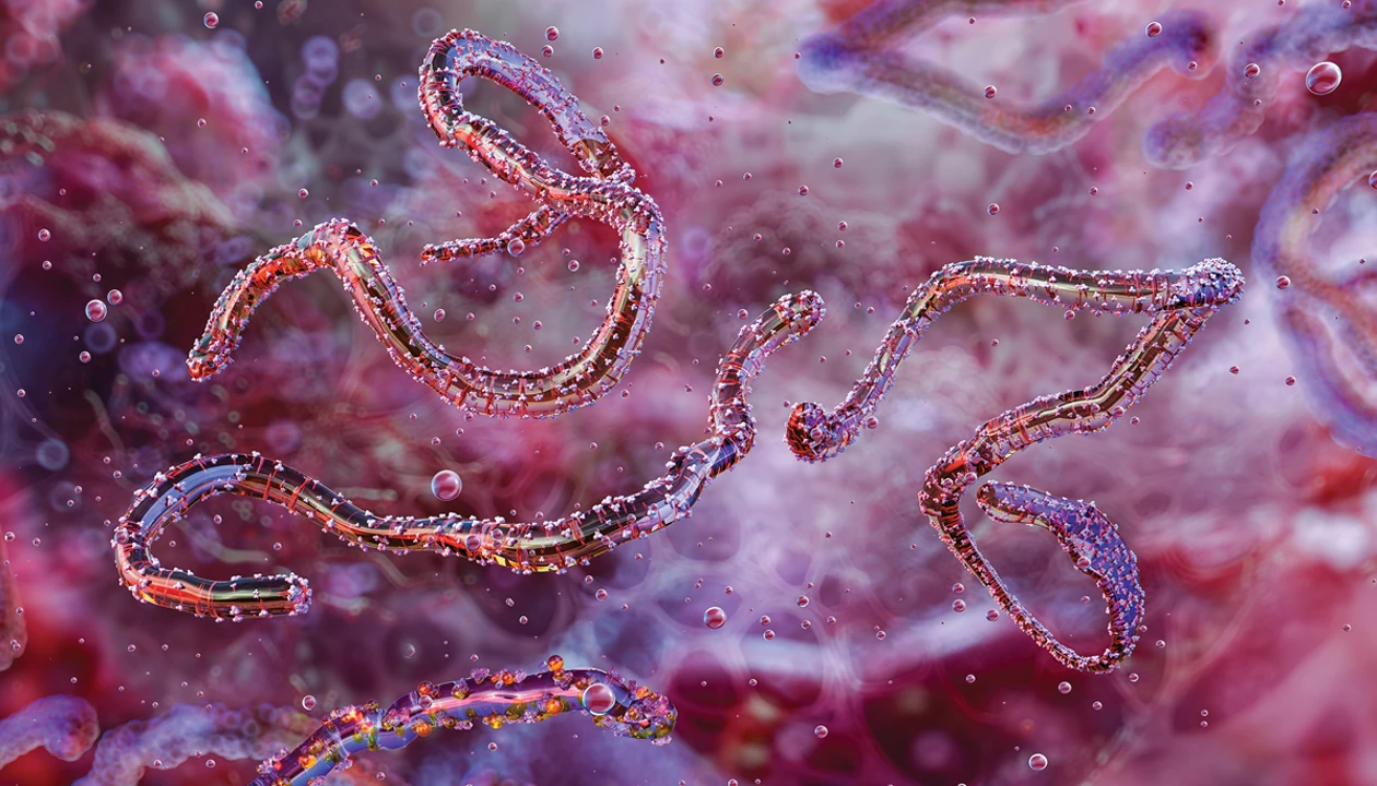 Here’s what’s happening with the Marburg virus outbreak in Rwanda