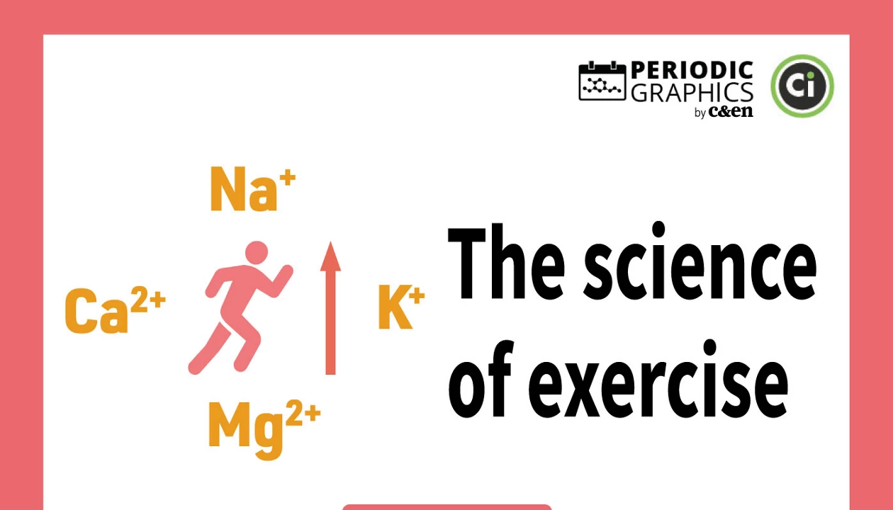 Quiz: The science of exercise