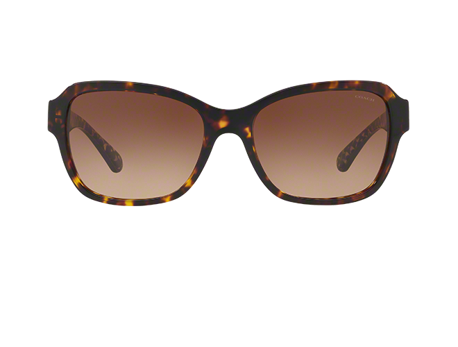 Coach Glasses And Sunglasses Prescription Eyewear Lenscrafters