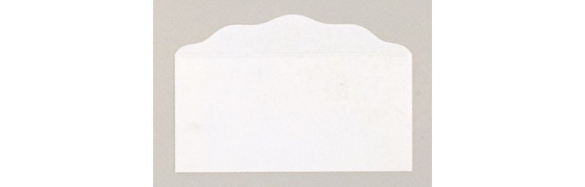 Offering Envelope: Bill-Sized, White Blank (Package of 100) | Lifeway