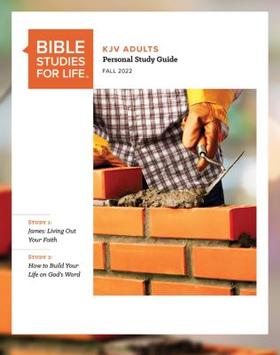 Bible Studies For Life Adults | KJV Resources | Lifeway