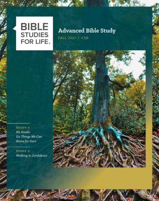 Bible Studies for Life | Advanced Adults - Lifeway