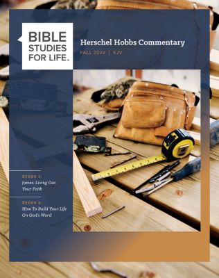 Bible Studies For Life Adults | KJV Resources | Lifeway