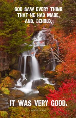 Church Bulletins | Templates, Ideas, and Covers | LifeWay