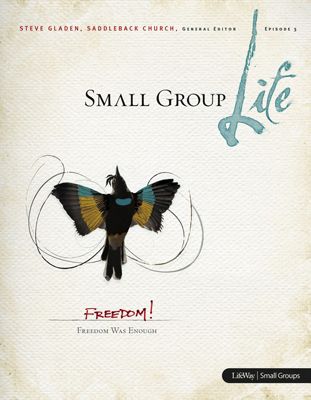 Small Group Life: Freedom! - Lifeway