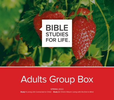Bible Studies for Life | Adults - Spring | Lifeway