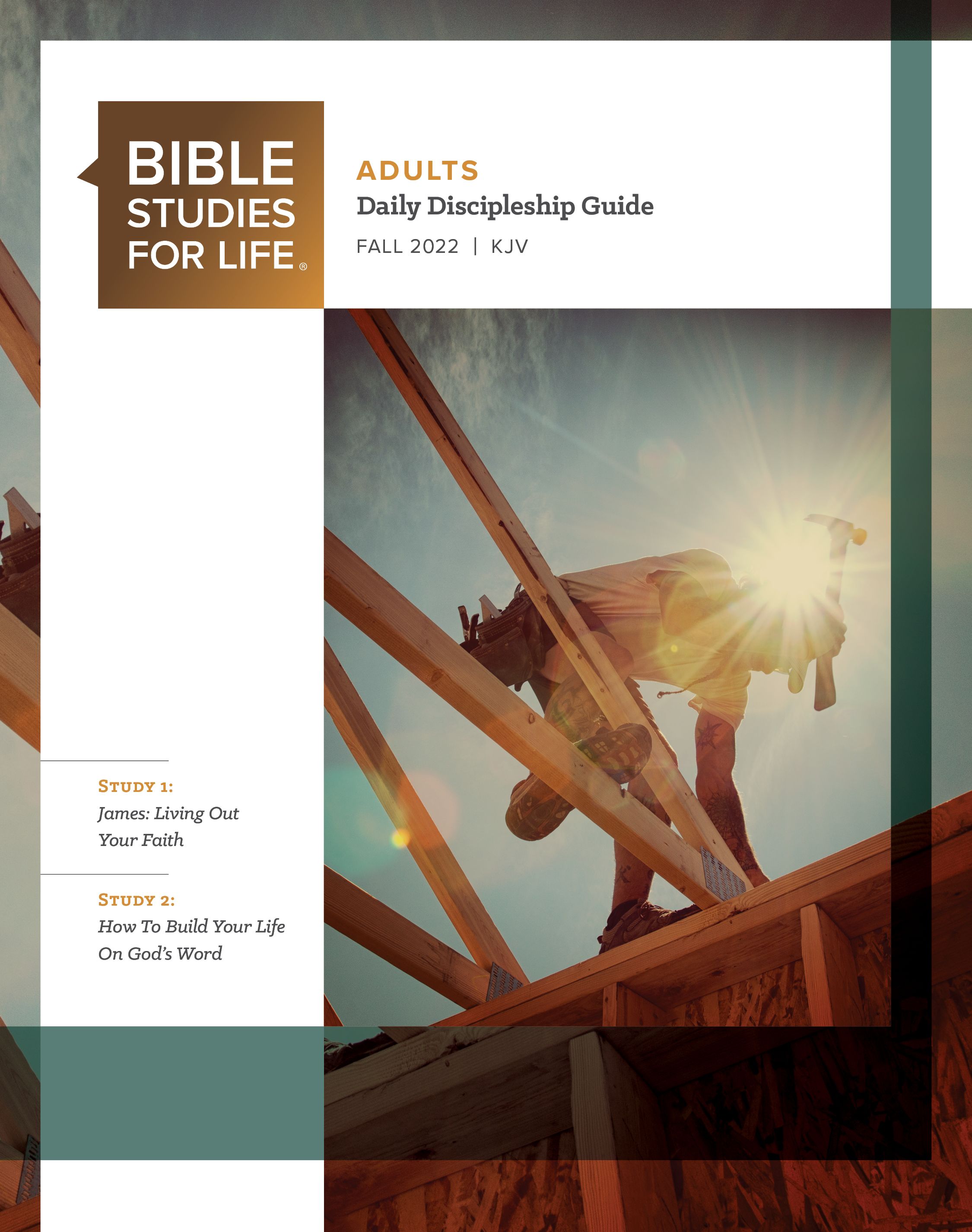 Bible Studies For Life Adults | KJV Resources | Lifeway