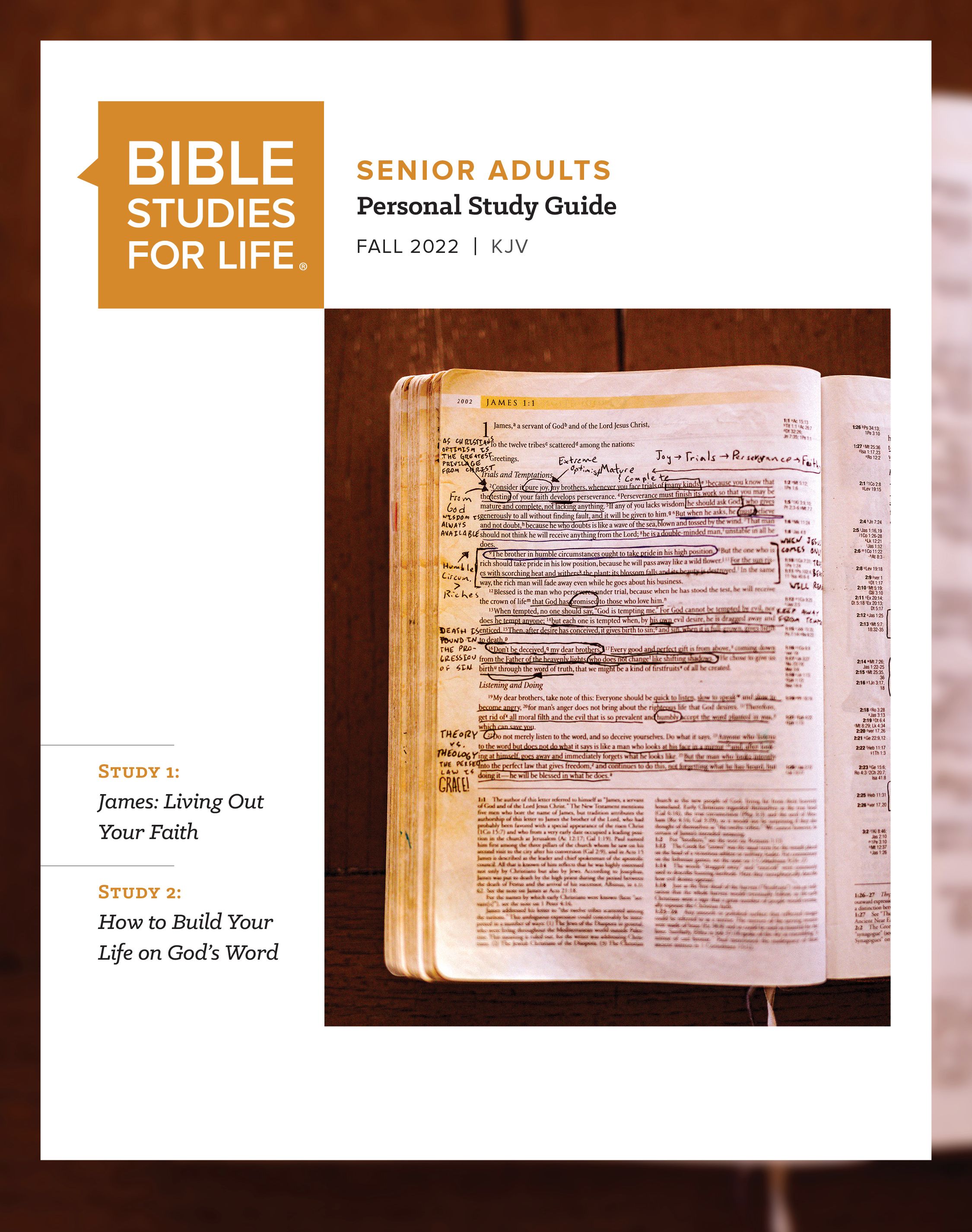Bible Studies For Life Adults | KJV Resources | Lifeway