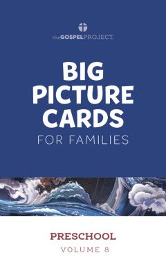 The Gospel Project for Preschool: Preschool Big Picture Cards - Volume ...