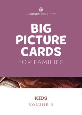 The Gospel Project for Kids: Kids Big Picture Cards - Volume 9: From ...