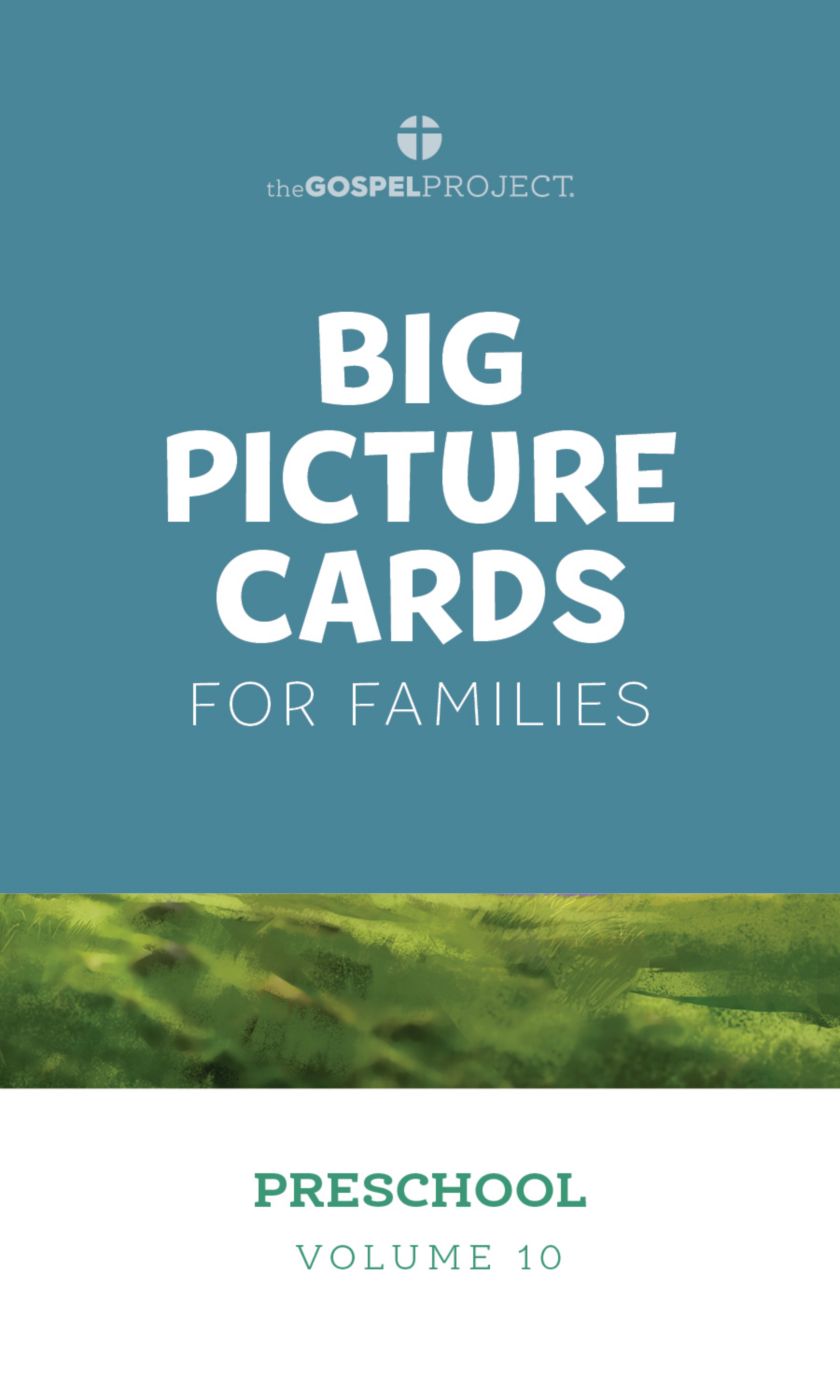The Gospel Project for Preschool: Preschool Big Picture Cards - Volume ...