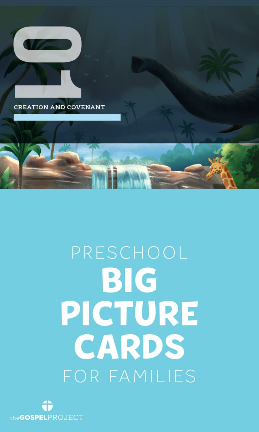 The Gospel Project for Preschool: Preschool Big Picture Cards - Volume ...