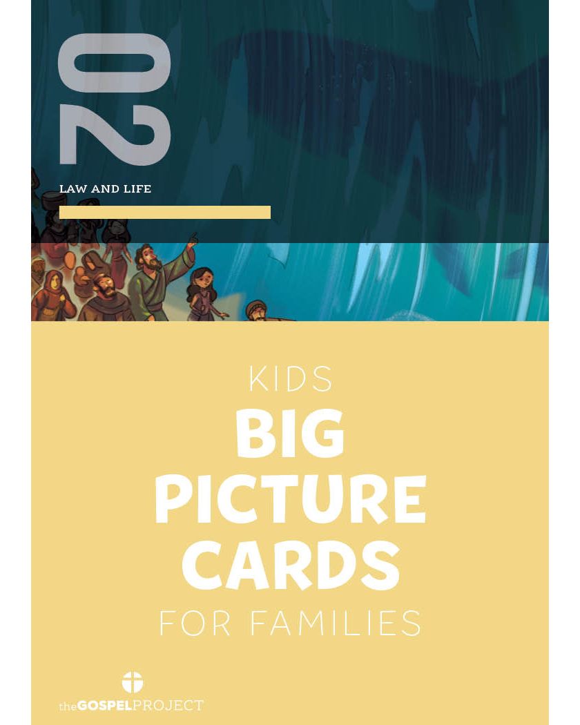 The Gospel Project for Kids: Kids Big Picture Cards - Volume 2: Law and ...