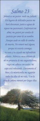 Psalm 23 Archives - B&H Publishing Group