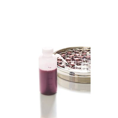Communion Cup Filler with Side-Spout (16 oz. Bottle) | Lifeway