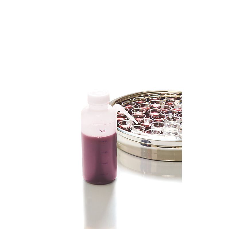 Communion Cup Filler with Side-Spout (16 oz. Bottle) | Lifeway