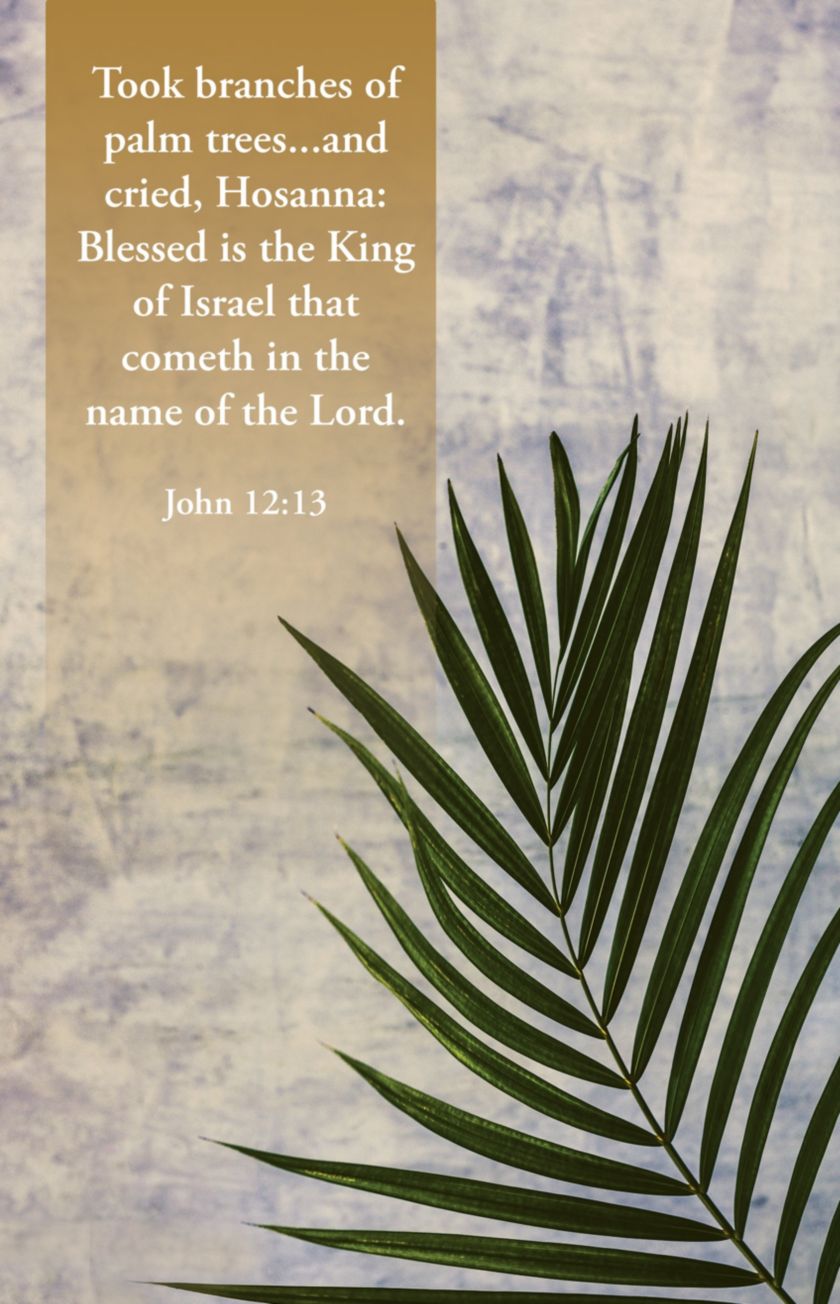 Palm Sunday Bulletin: In The Name of the Lord (Package of 100) | Lifeway