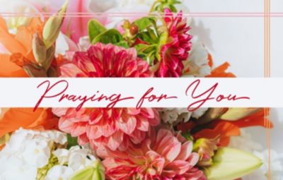 Praying for You Postcard: We Are Praying For You (Package of 25) | Lifeway