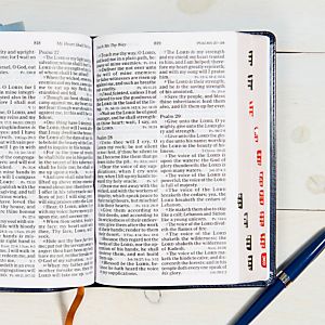 Bibles KJV | King James Version Bibles | Lifeway