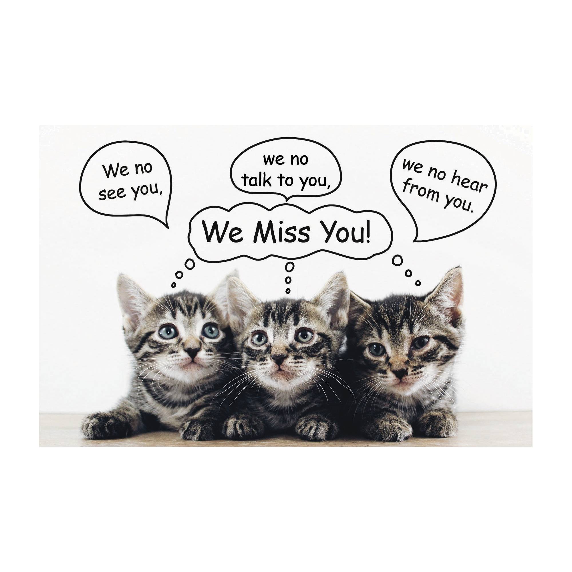 Cute Kitten Meme Miss You
