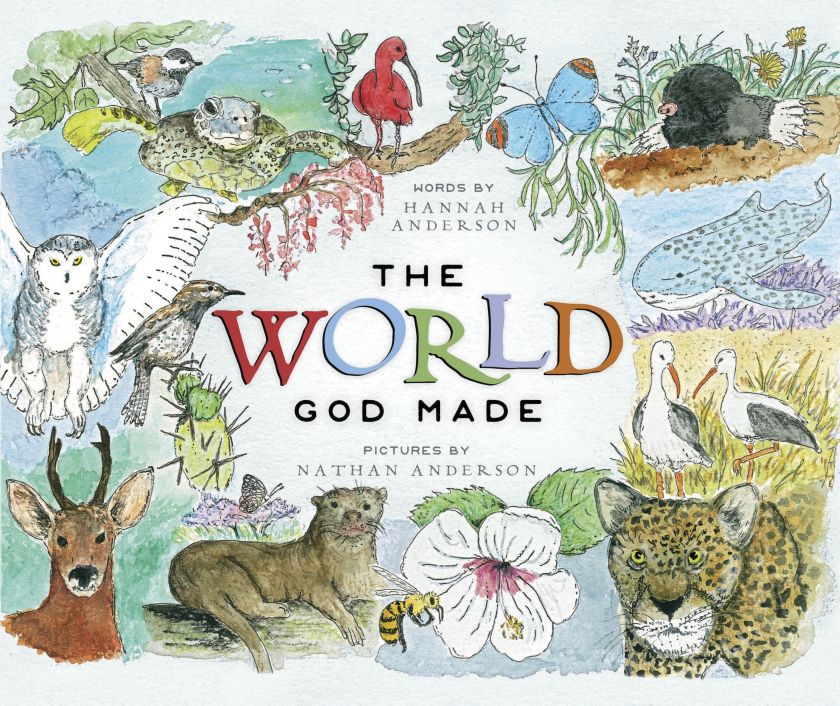 The World God Made | Lifeway