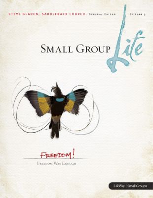 eBook - Small Group Life: Freedom | Lifeway