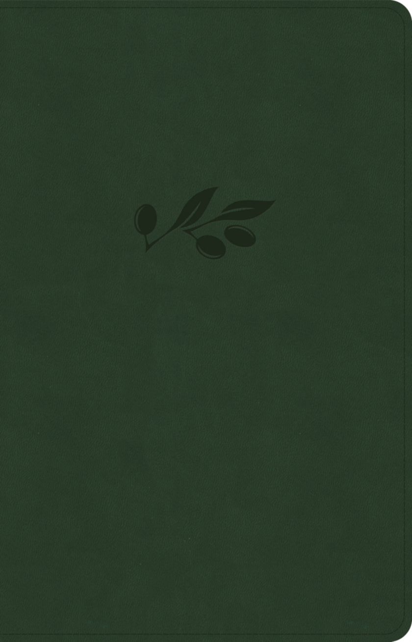 NASB Large Print Thinline Bible, Olive LeatherTouch | Lifeway