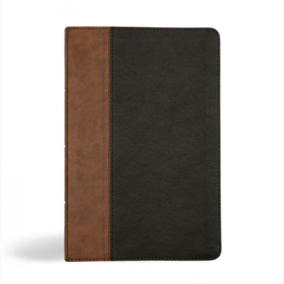 KJV Personal Size Giant Print Bible, Black/Brown LeatherTouch, Indexed ...