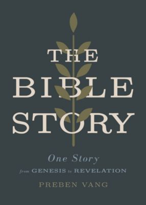 The Bible Story - Lifeway