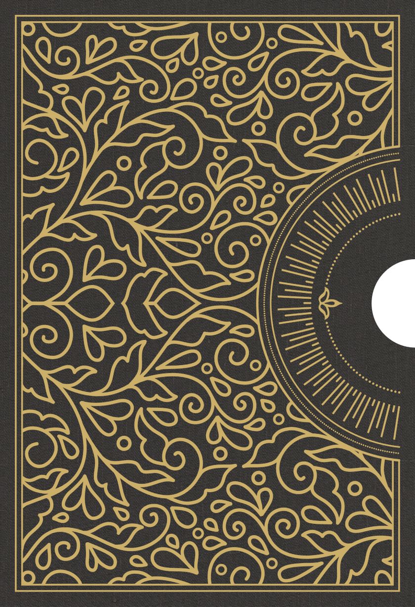 The 30 Days Series Bundle: CSB Edition | Lifeway