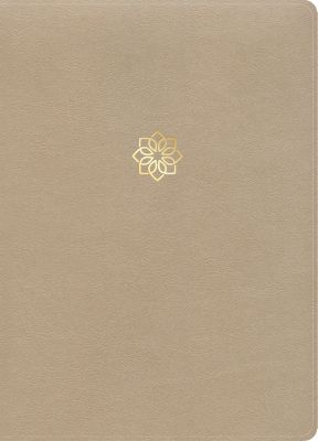 CSB Study Bible, Large Print, Digital Study Edition, Gold LeatherTouch ...