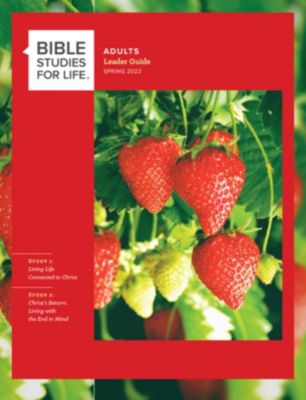 Bible Studies for Life | Adults - Spring | Lifeway
