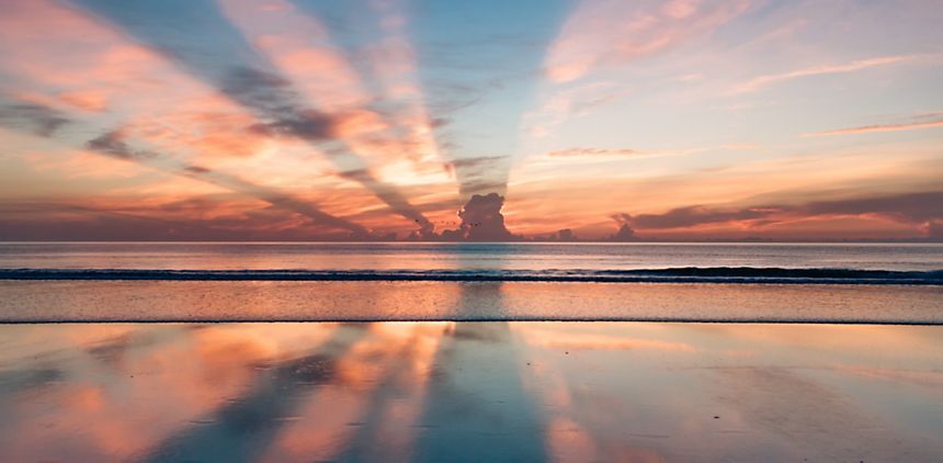 Understanding The Implications of Being Made in God's Image | Lifeway