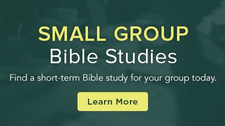 Your trusted source for Bible Studies, Books, and Bibles | LifeWay