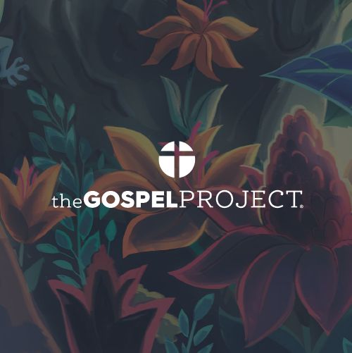 Bible Studies for Kids | Kids Bible Study | Lifeway