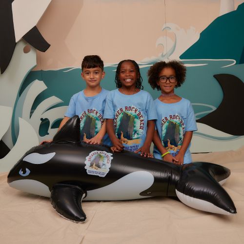 VBS | Vacation Bible School | Lifeway VBS